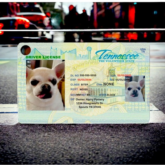 Other | Pet Drivers License Tags | Poshmark